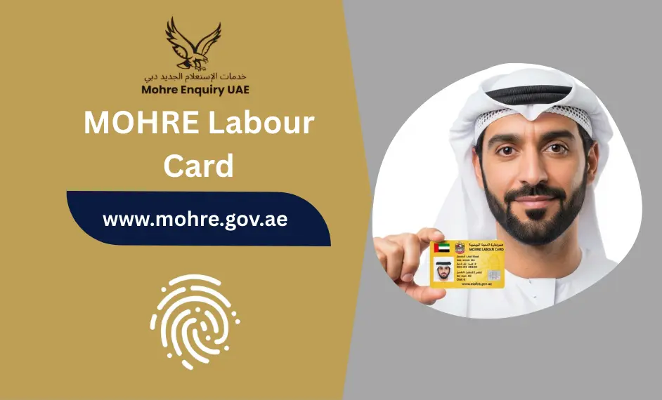MOHRE Labour Card Status Check and Download Work Permit